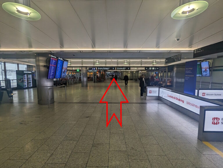 Guide: Am Flughafen Zürich von der Ankunft zum Bahnhof - No Miles, No ...